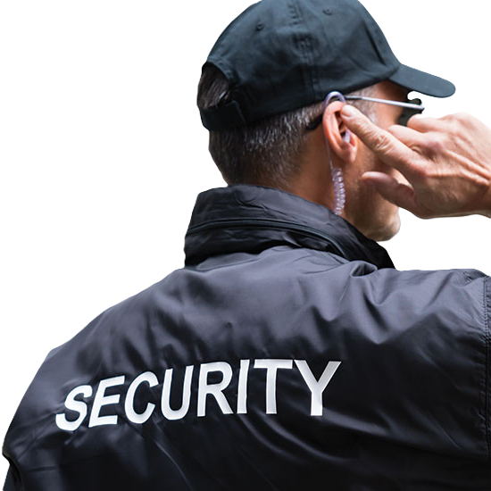 EAGLE EYE SECURITY INC - Our Eyes Are Everywhere!